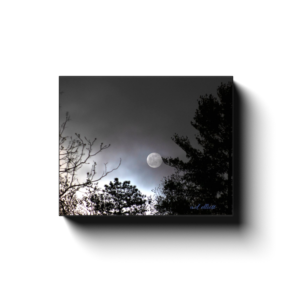 Paschal Moon — a.d. elliott - Take the Back Roads